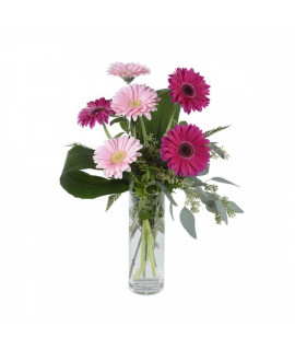 Félicité Pure (FTD® - C7-4925) LeFleuriste.com™