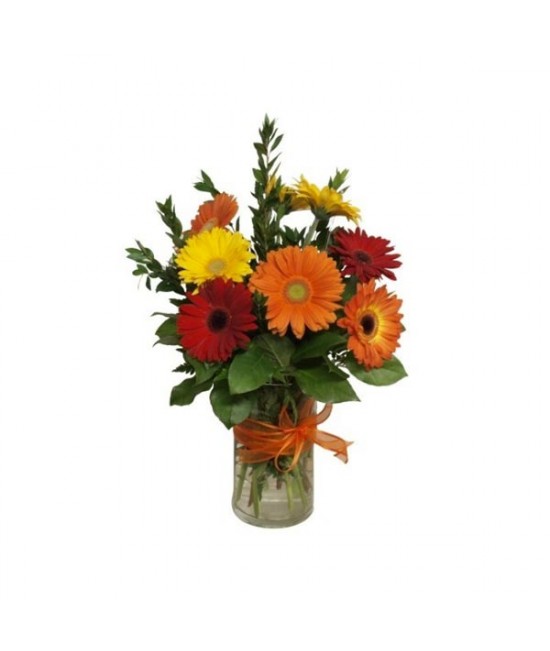Tendre hommage de Teleflora (Teleflora® - T227-1A) LeFleuriste.com™