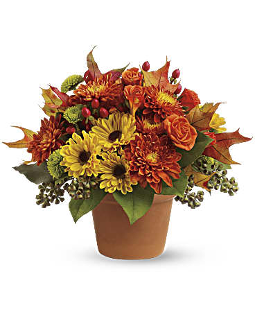 Le Bouquet Érable à Sucre (Teleflora® - T12Z100A) LeFleuriste.com™